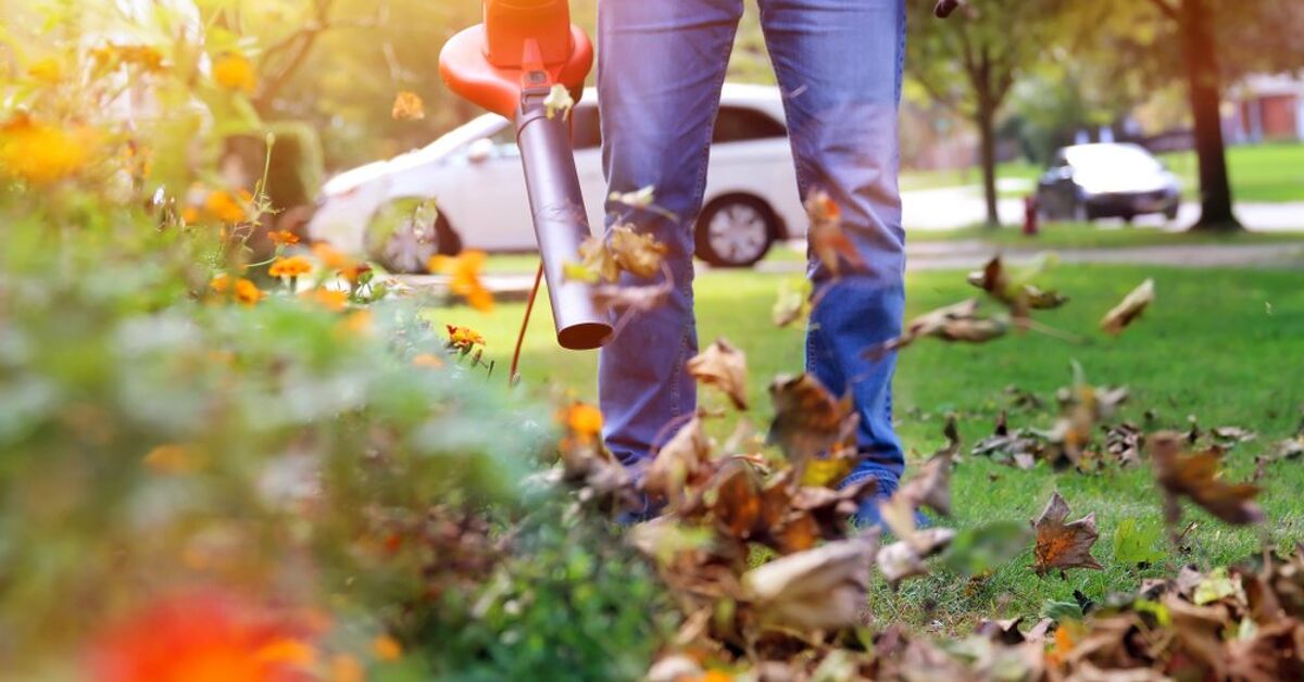 Leaf Blower CFM Vs MPH Which Is More Important Upgradedhome Leaf Blower CFM Vs MPH Which Is More Important Upgradedhome