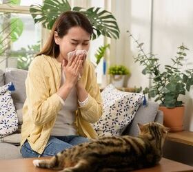 Common Fall Allergies You Probably Didn't Know About | Upgradedhome.com